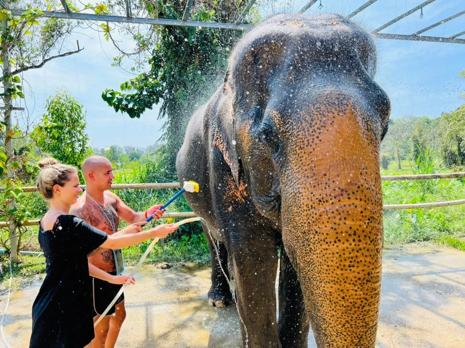 Phuket Elephant Care Sanctuary Half-Day Tour | PHUKET Signature Tour